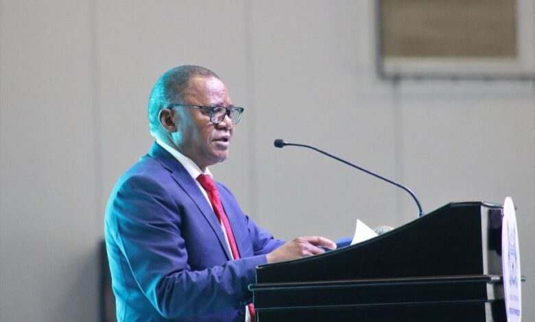 VP Launches Botswana Labour Market Observatory Governing Body ...