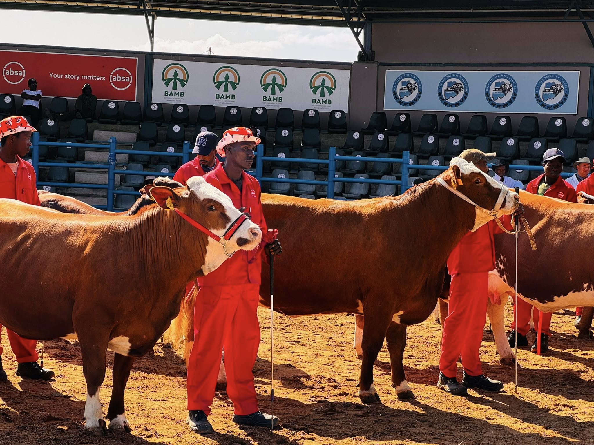 Botswana National Agriculture Show Kicks Off in Gaborone - Botswana ...